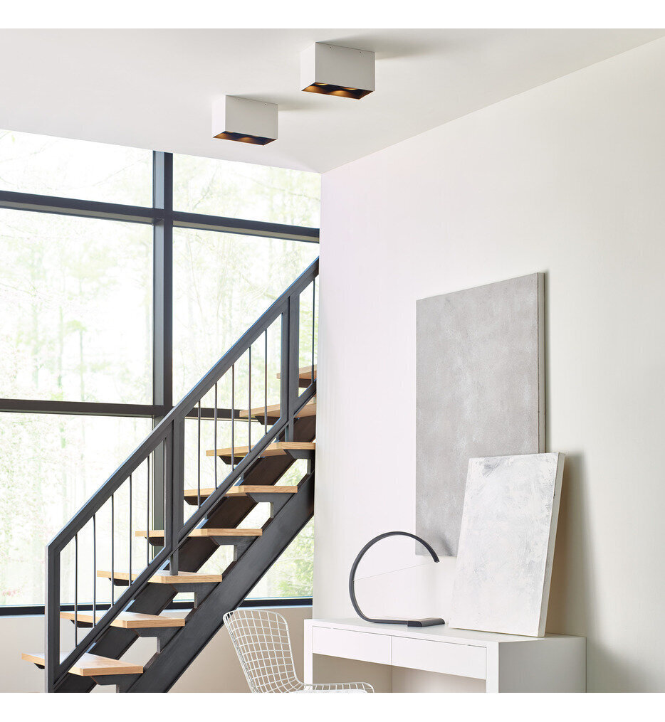 Visual Comfort Modern - Sean Lavin - Exo Flush Mount – Lamps.com