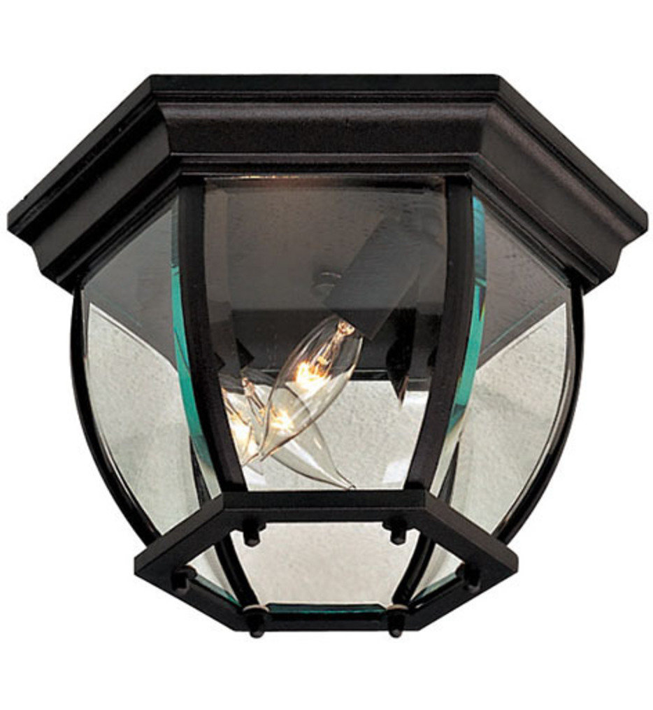 Outdoor Ceiling Lights - Outdoor Flush Mounts | Lamps.com